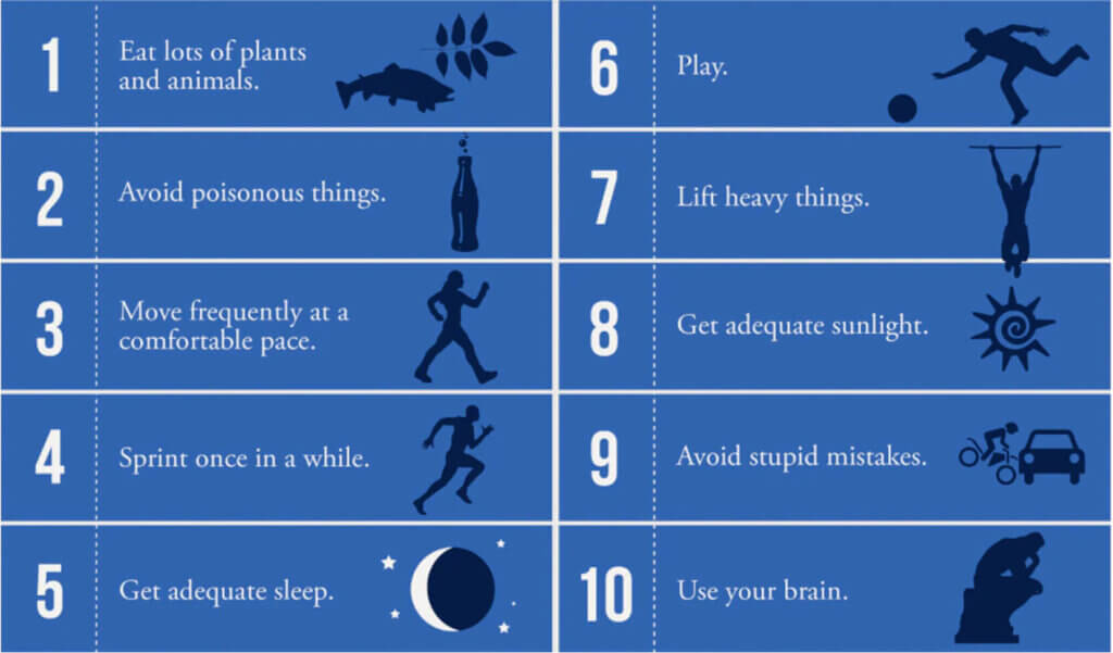 The 10 Primal Blueprint Laws: Your Ultimate Guide to Healthy Living ...