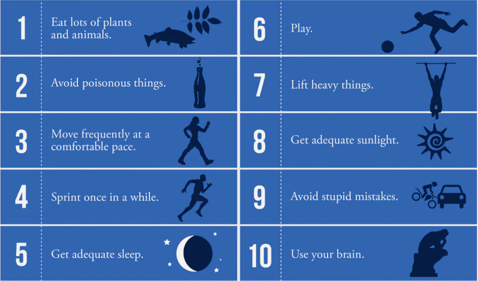 The 10 Primal Blueprint Laws: Your Ultimate Guide to Healthy Living ...