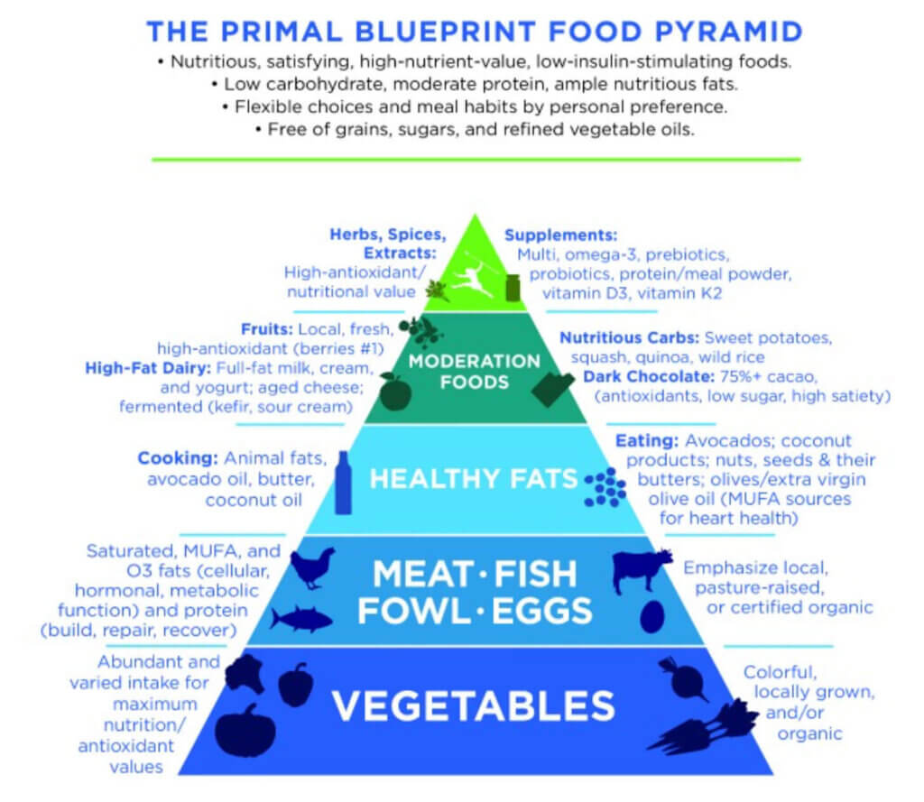The 10 Primal Blueprint Laws: Your Ultimate Guide to Healthy Living ...
