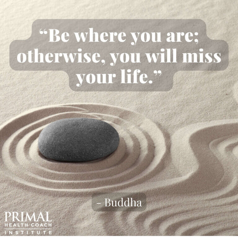 69 Powerful Mindfulness Quotes - Primal Health Coach Institute