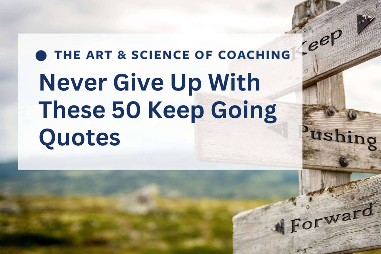 Never Give Up With These 50 Keep Going Quotes - Primal Health Coach ...
