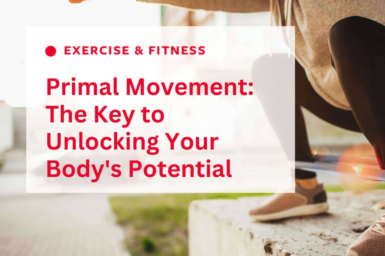 Primal Movement: The Key to Unlocking Your Body's Potential - Primal ...