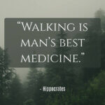 37 Movement Quotes to Inspire Change and Growth - Primal Health Coach ...